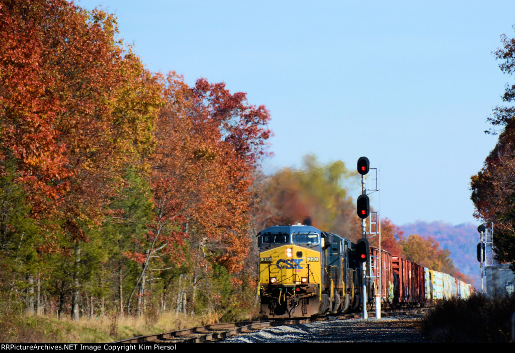 CSX 390 Q439